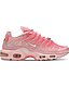 Nike Air Max Plus City Special Atlanta | Itsu